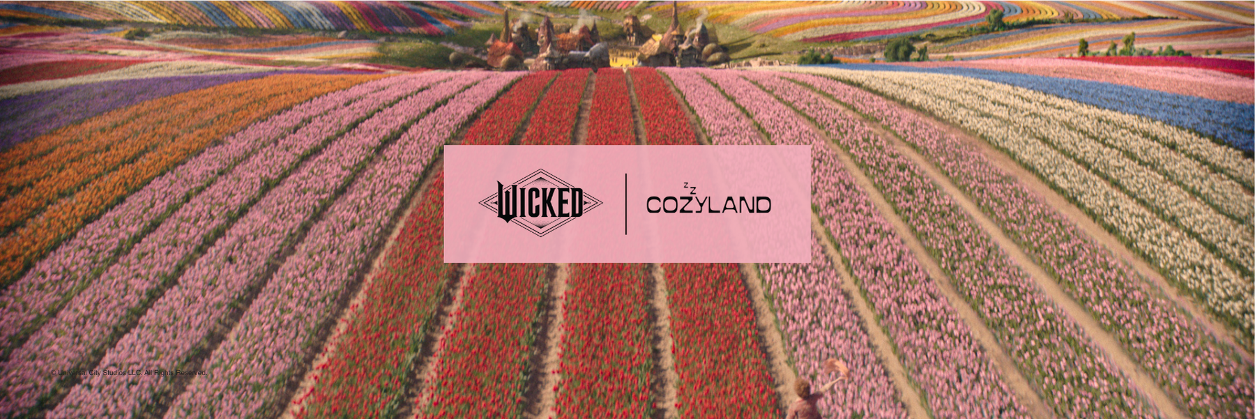 Wicked x Cozyland
